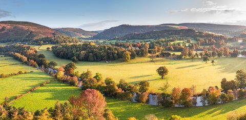Walking in North Wales: A Guide to the Berwyn Range - Glendower Holiday ...
